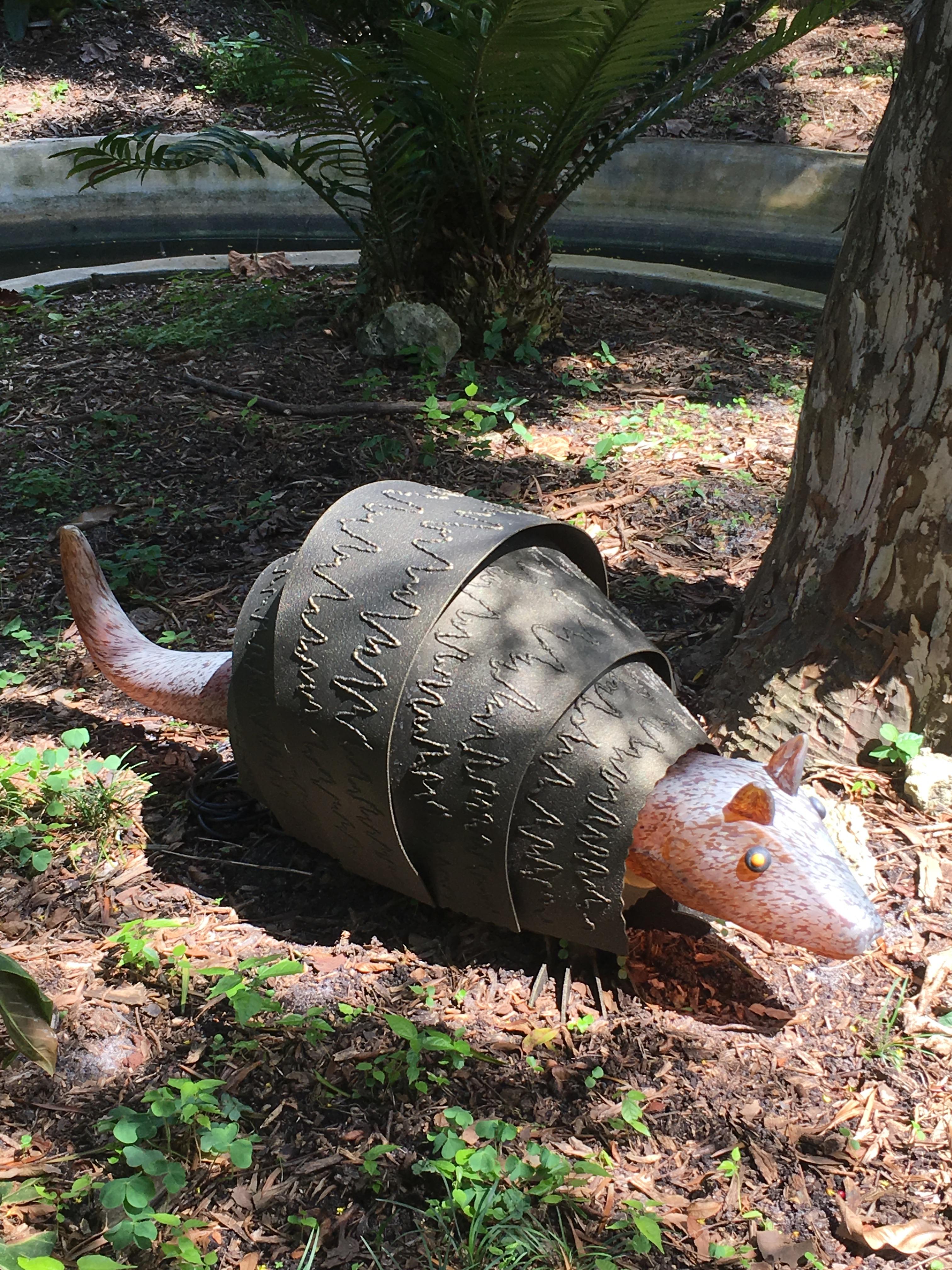 Armadillo Art at Flamingo Gardens | Scrolller