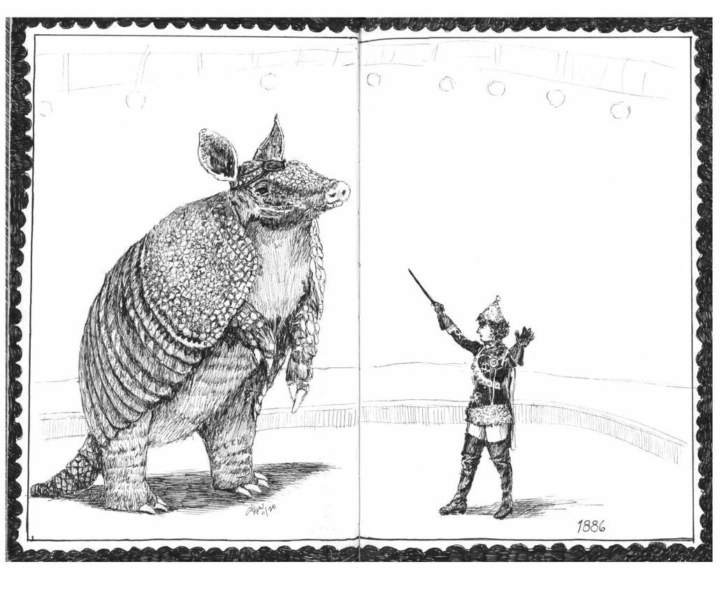 Armadillo Tamer | Scrolller