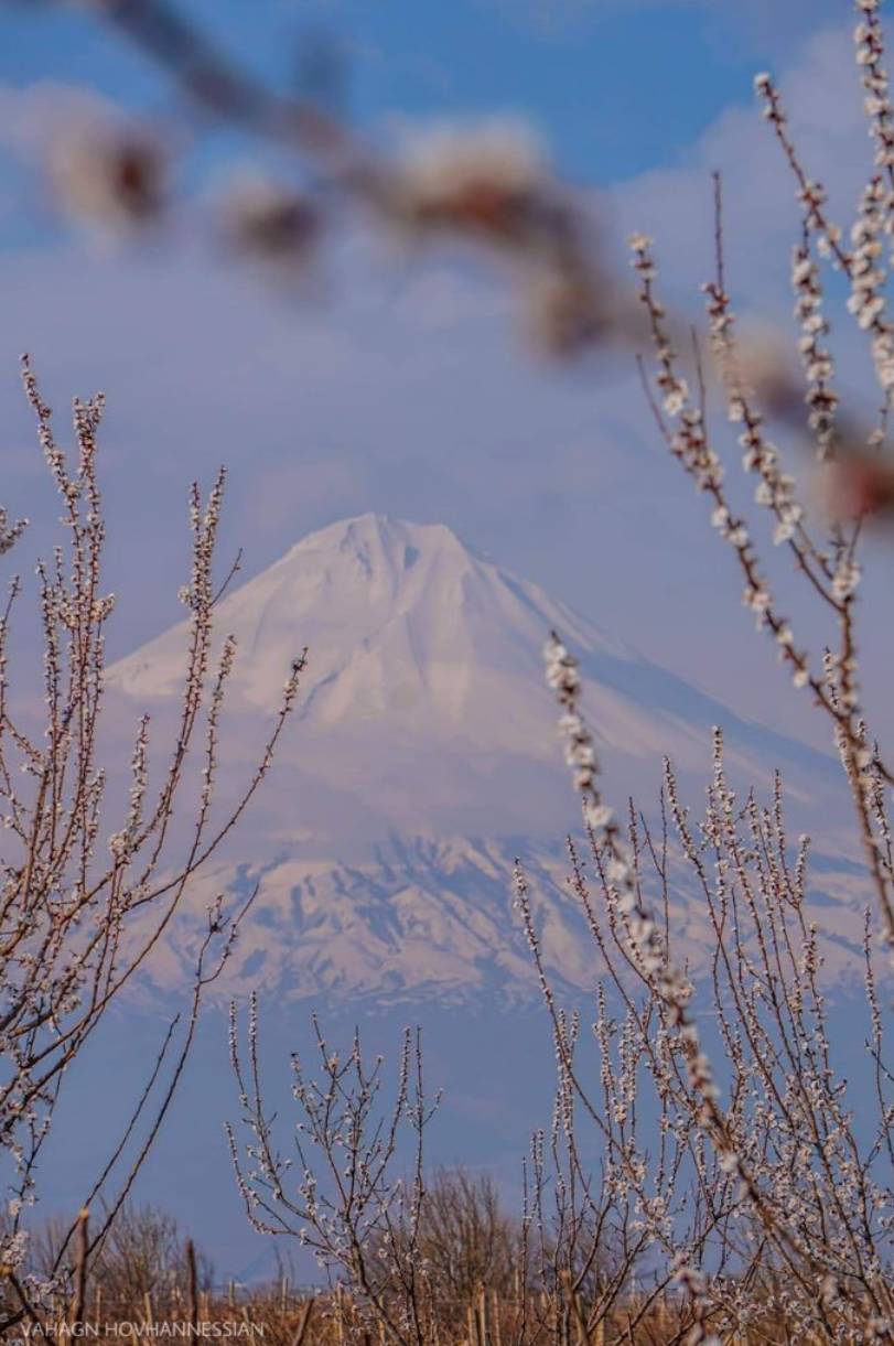 Armenian spring to your quarantine timeline. Have a nice day! | Scrolller