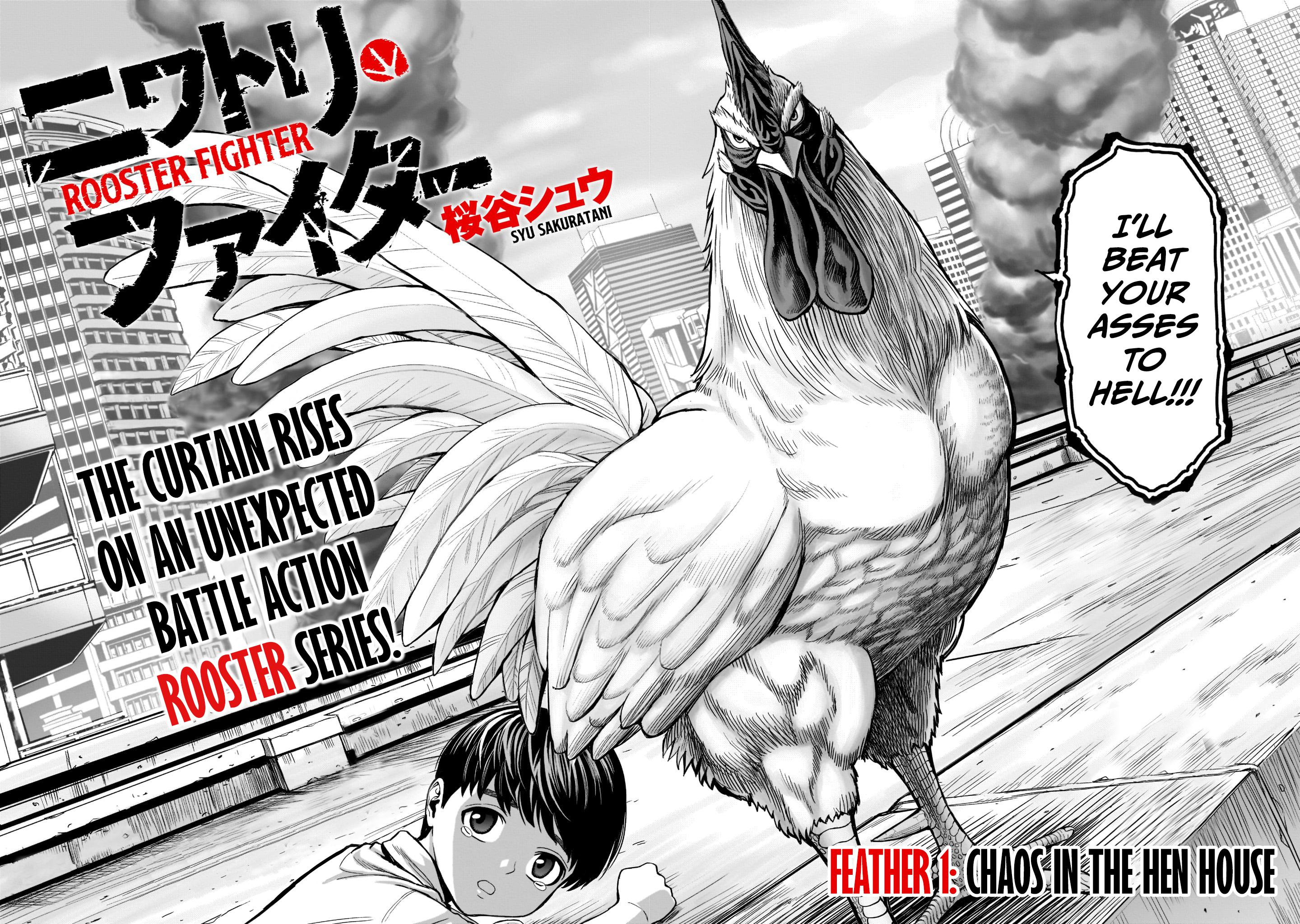 [ART] rooster fighter | Scrolller