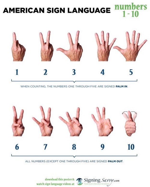 ASL rule | Scrolller