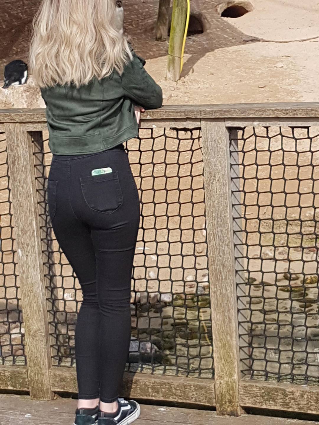 At the zoo | Scrolller