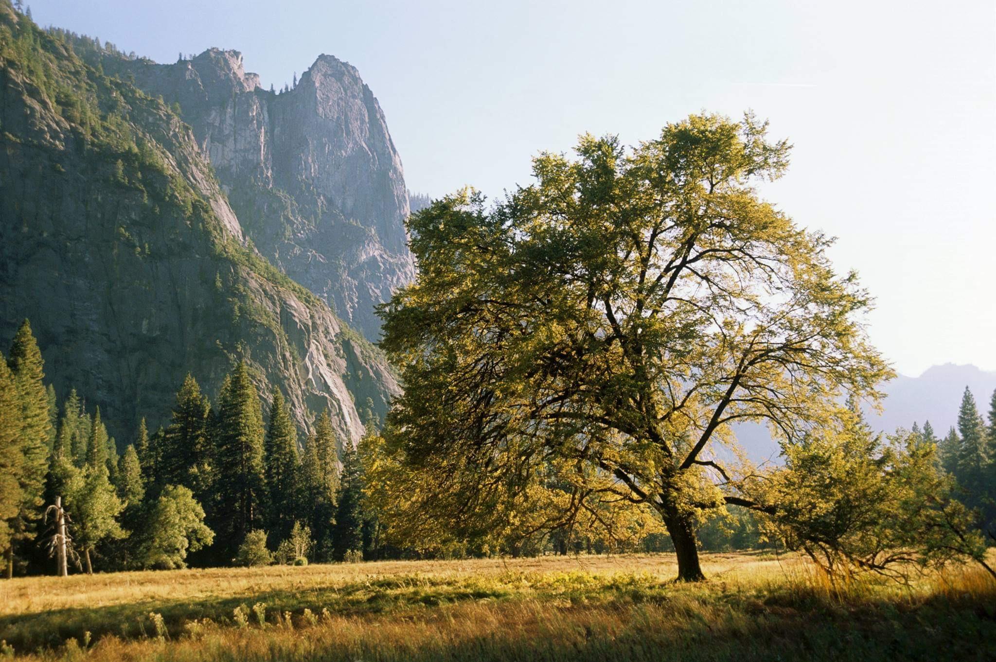 Autumn in the Valley | Scrolller