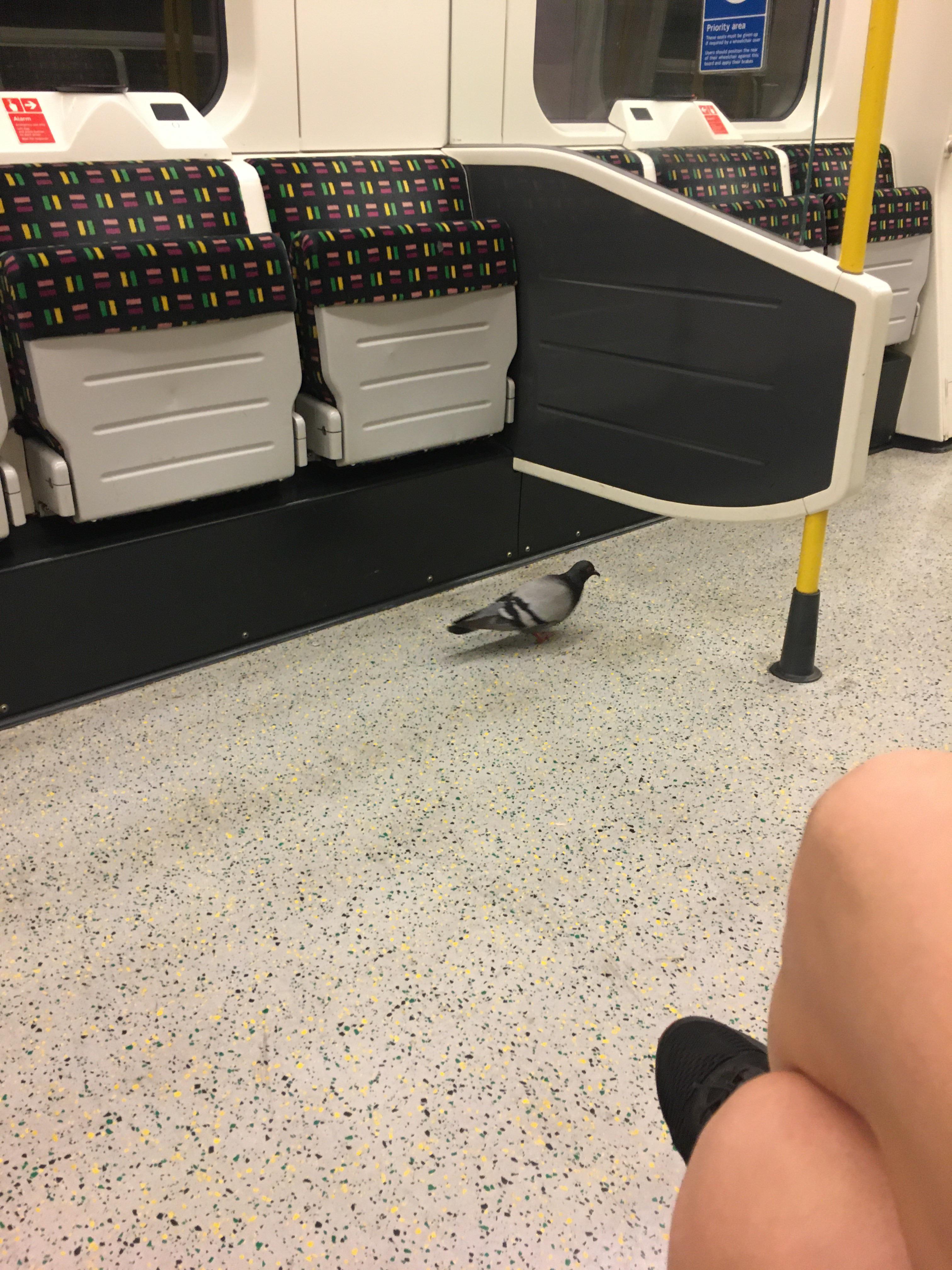 Average London commuter | Scrolller