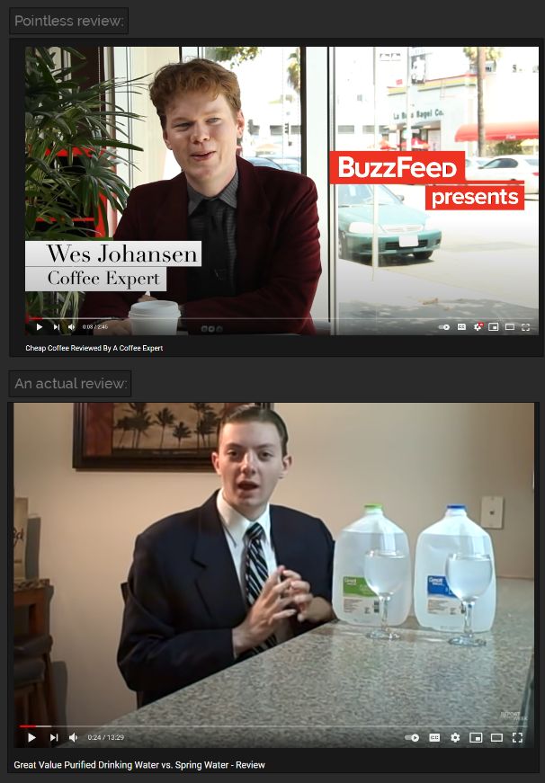 Average Review Fan vs Average Review Enjoyer | Scrolller