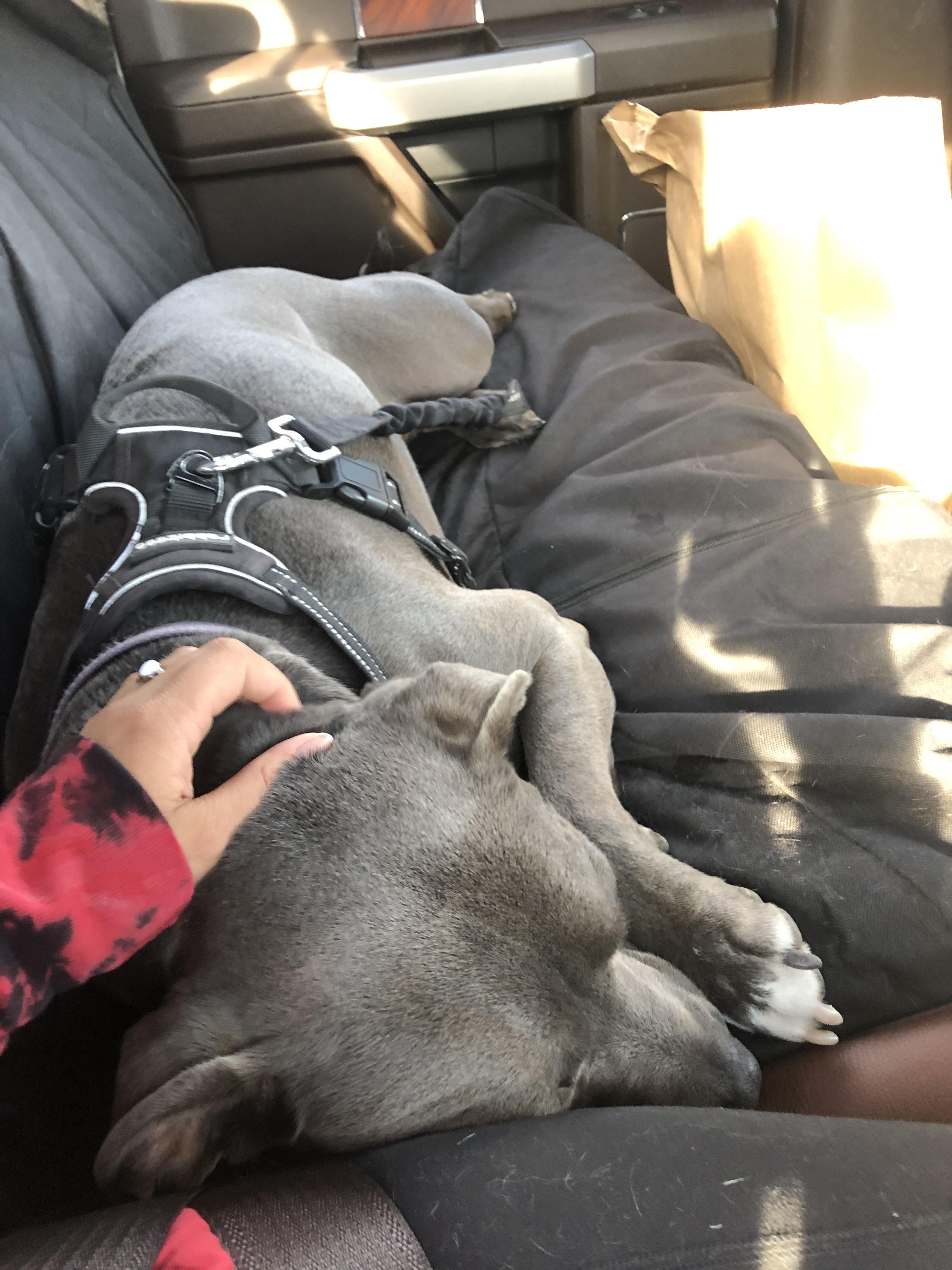 Aww bby 💖🥺 | Scrolller