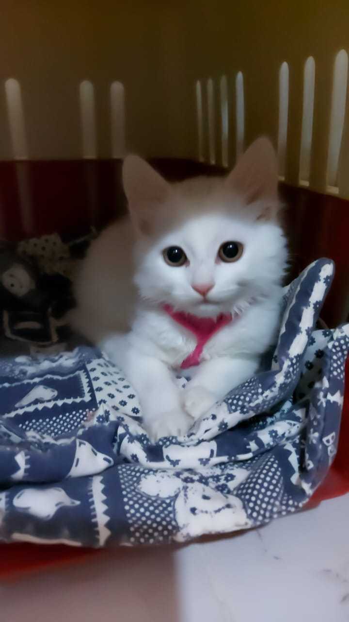 Awww or nah? | Scrolller