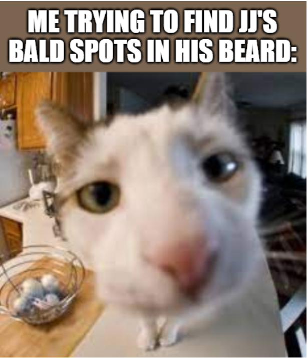 Ayyy find them bald spots: | Scrolller