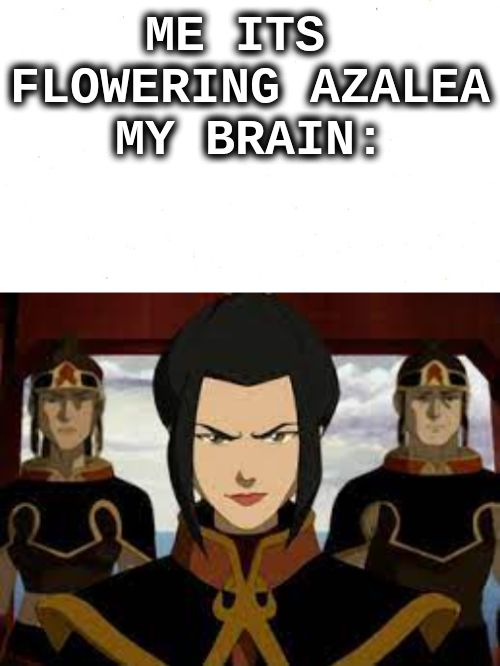 Azula Scrolller