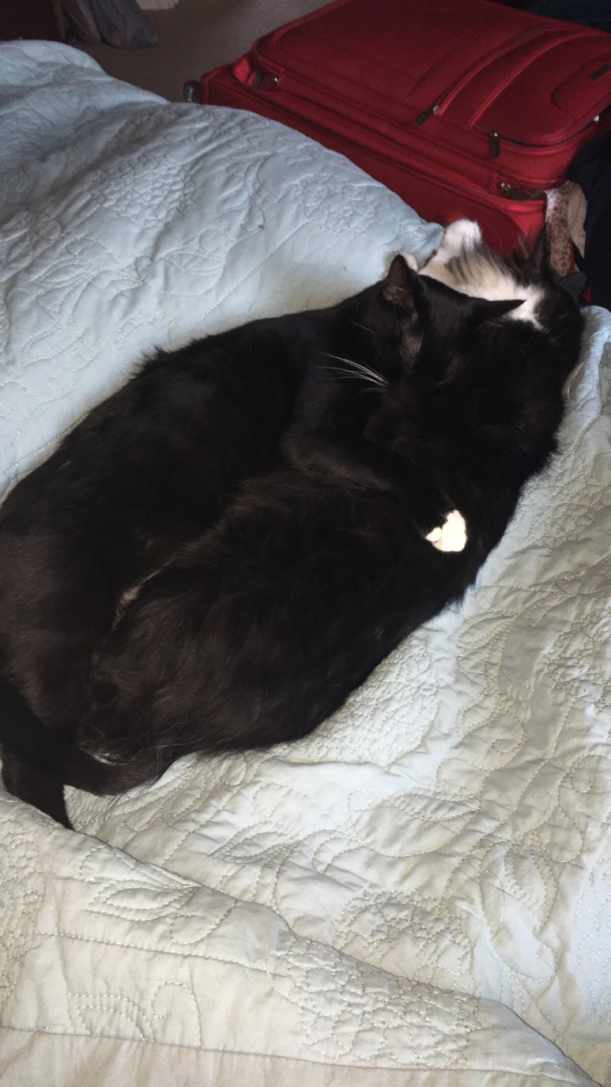 Babes hugging | Scrolller