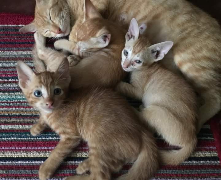 Babies... | Scrolller