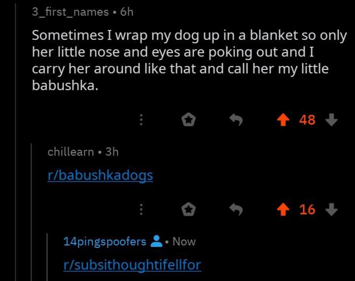 Babushka dogs | Scrolller