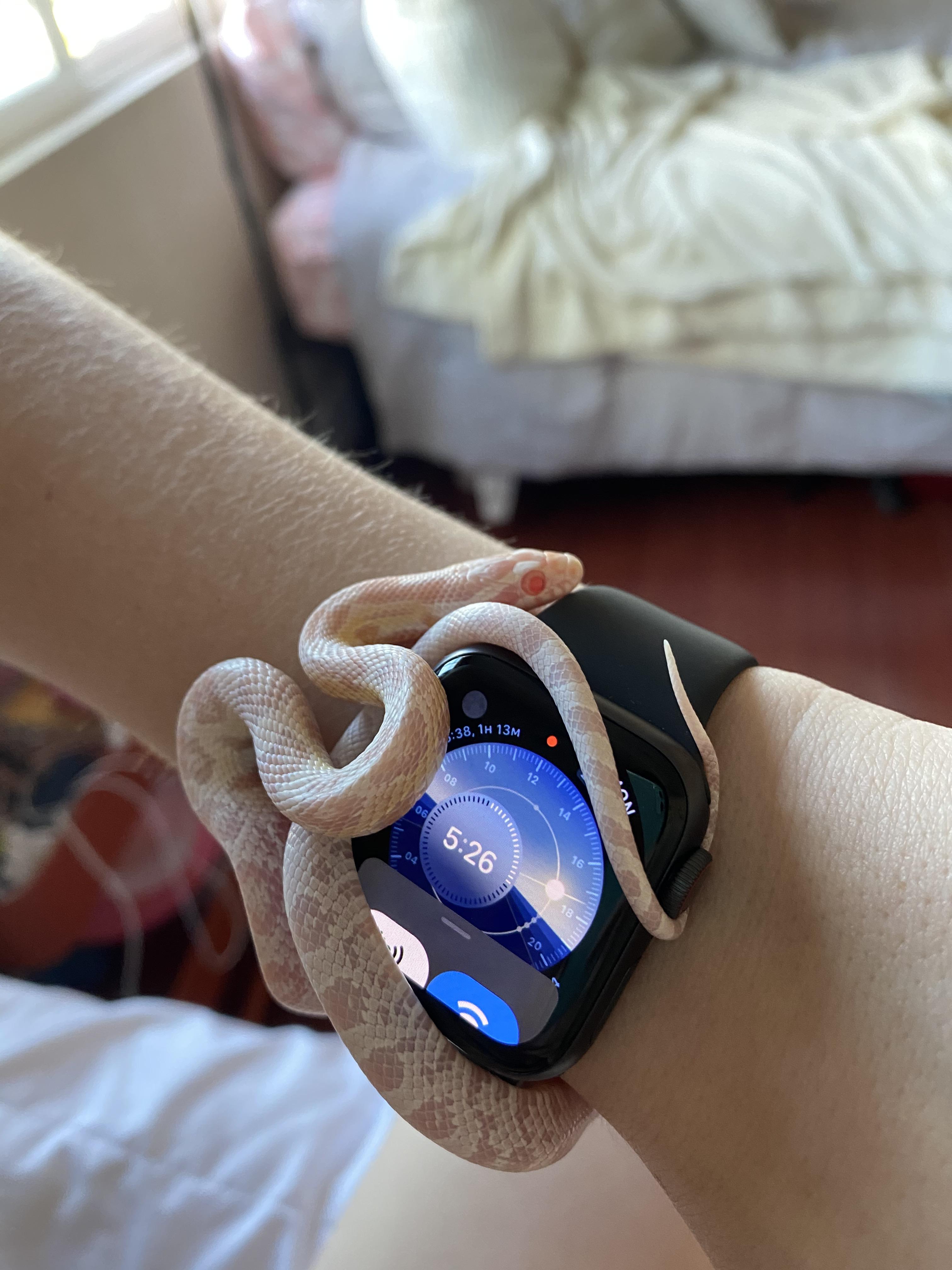 Baby lillith likes the watch | Scrolller