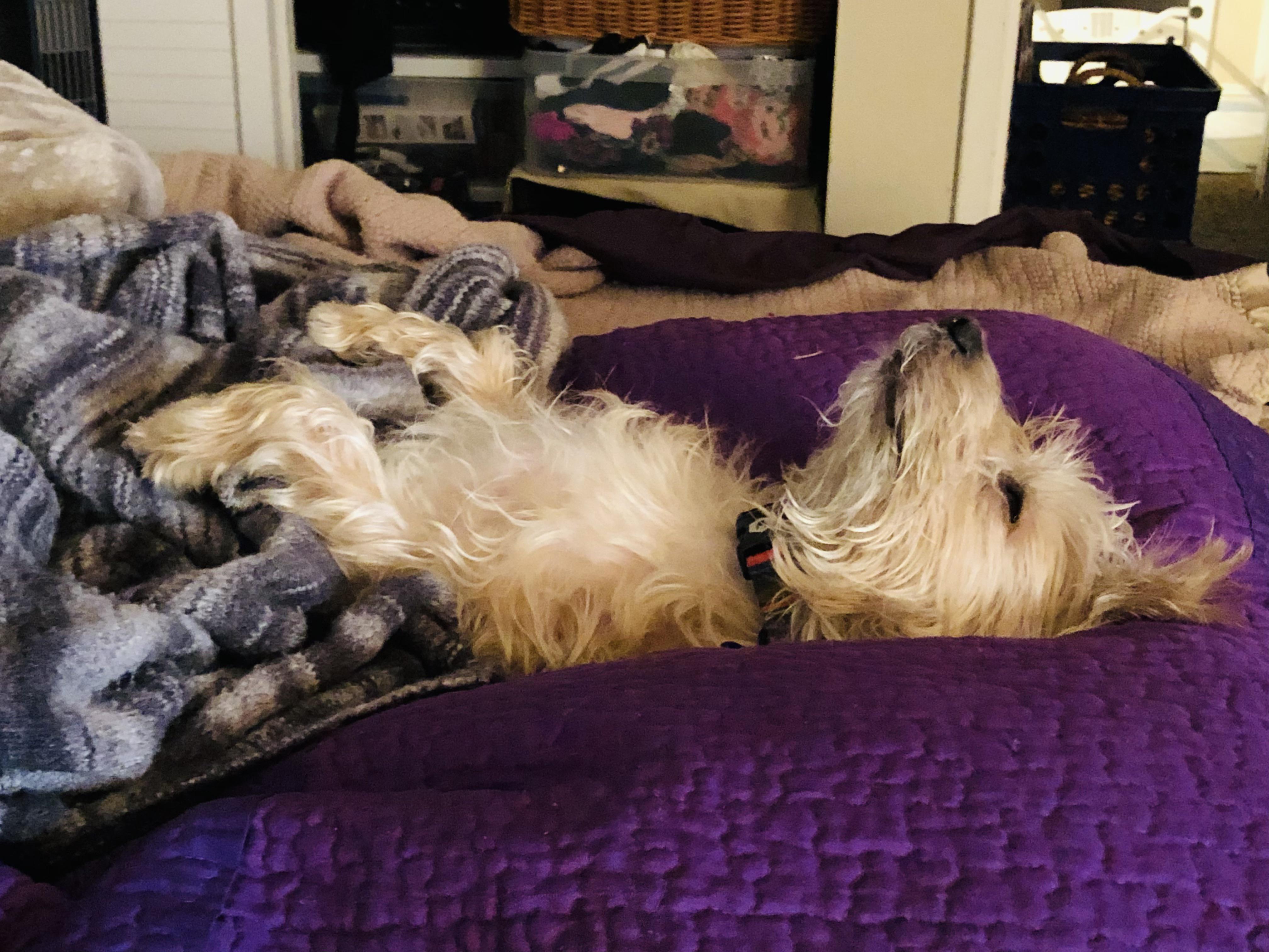 Back sleeper. | Scrolller