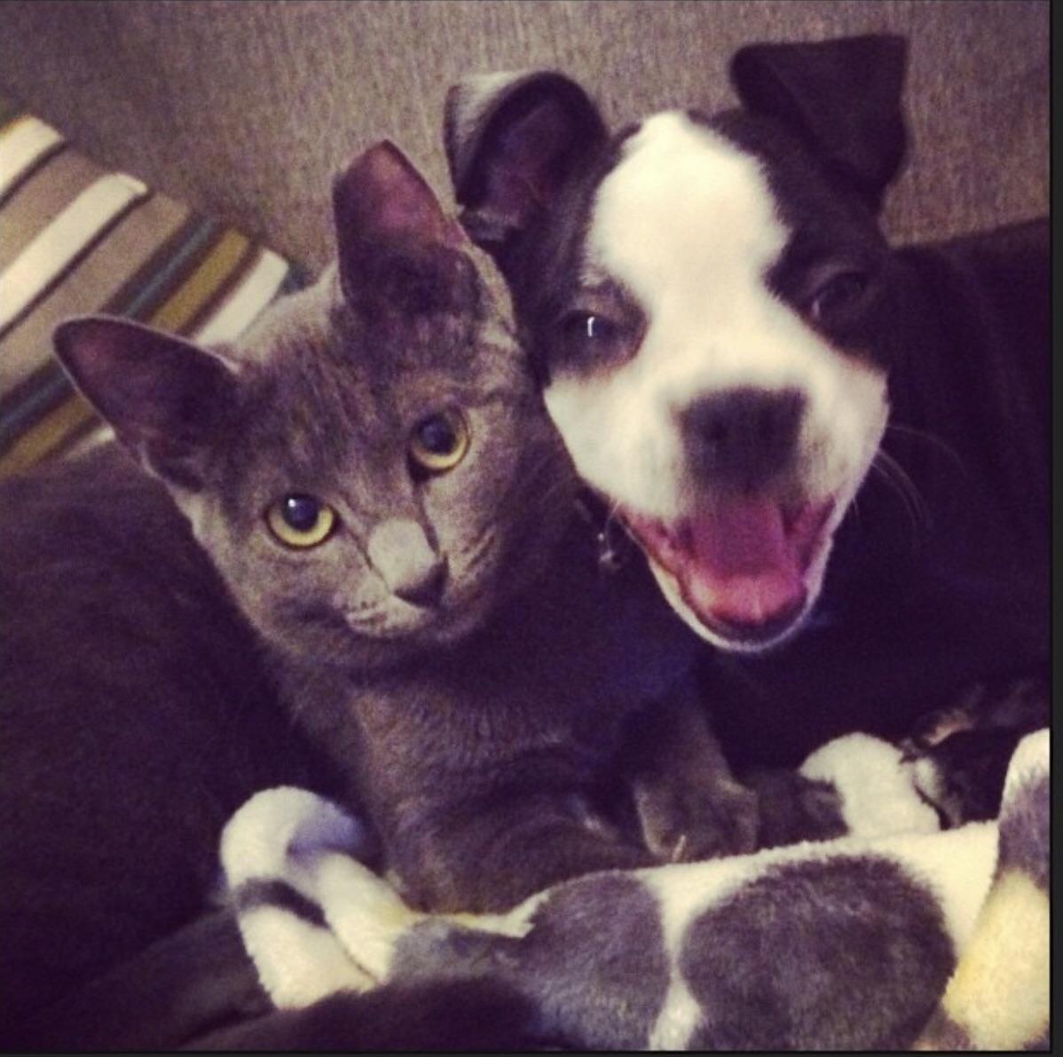 Back when they were bffs | Scrolller