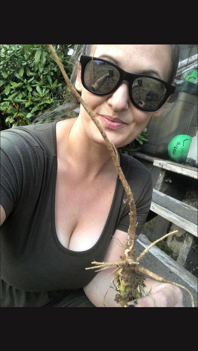 Backyard Edibles | Scrolller