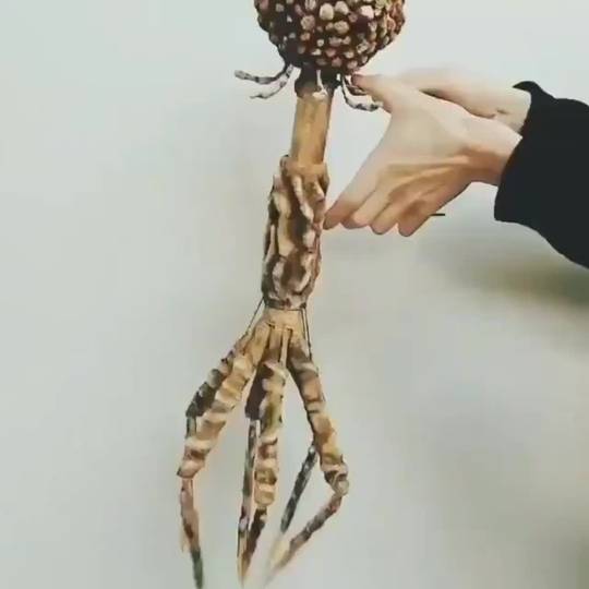 Bacteriophage puppet | Scrolller