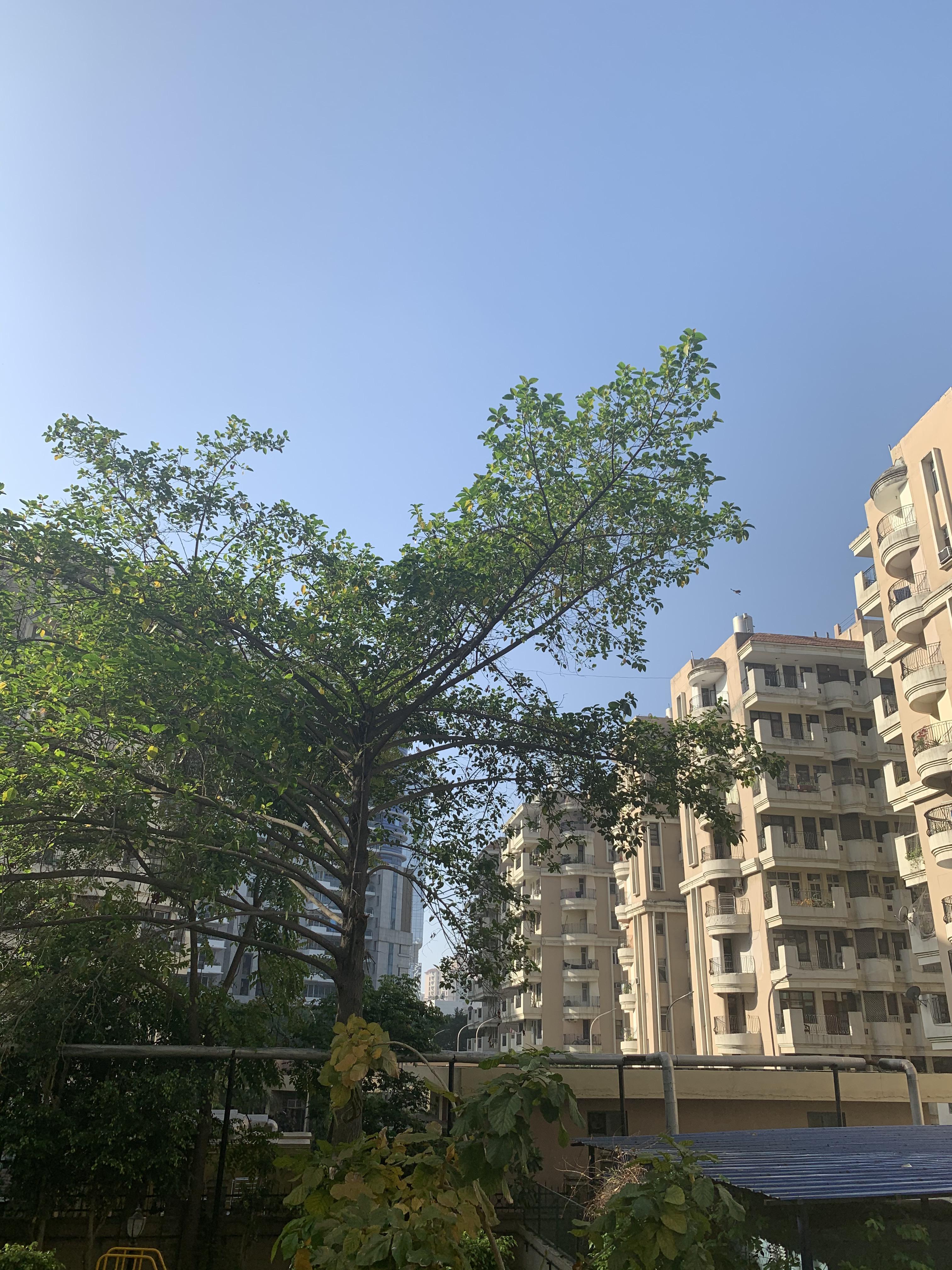 Balcony view (sector 43) | Scrolller