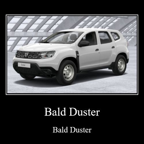 Bald Duster | Scrolller