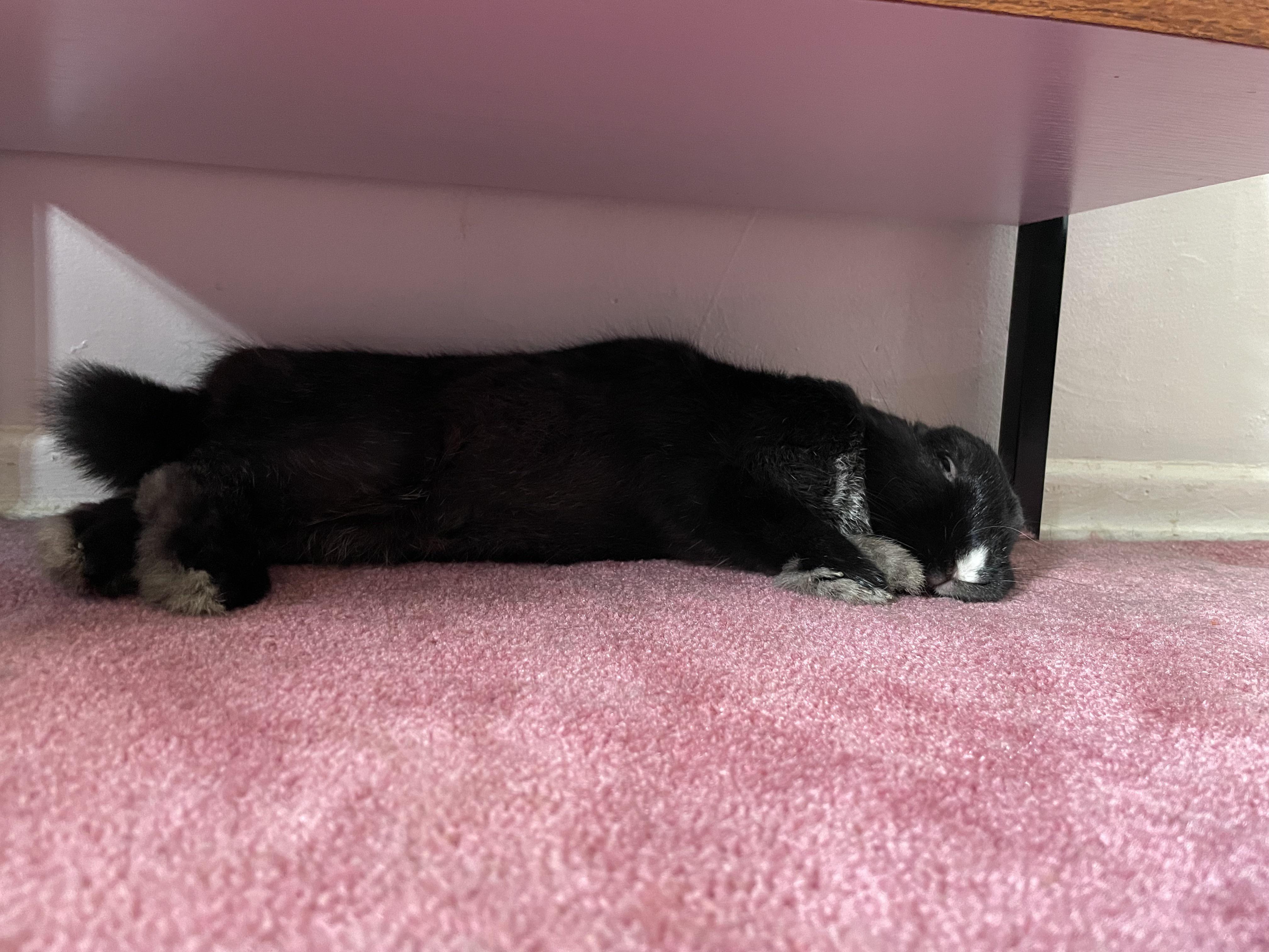 Banana hangover | Scrolller