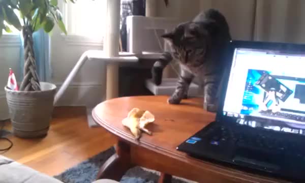 Banana Peel Scrolller