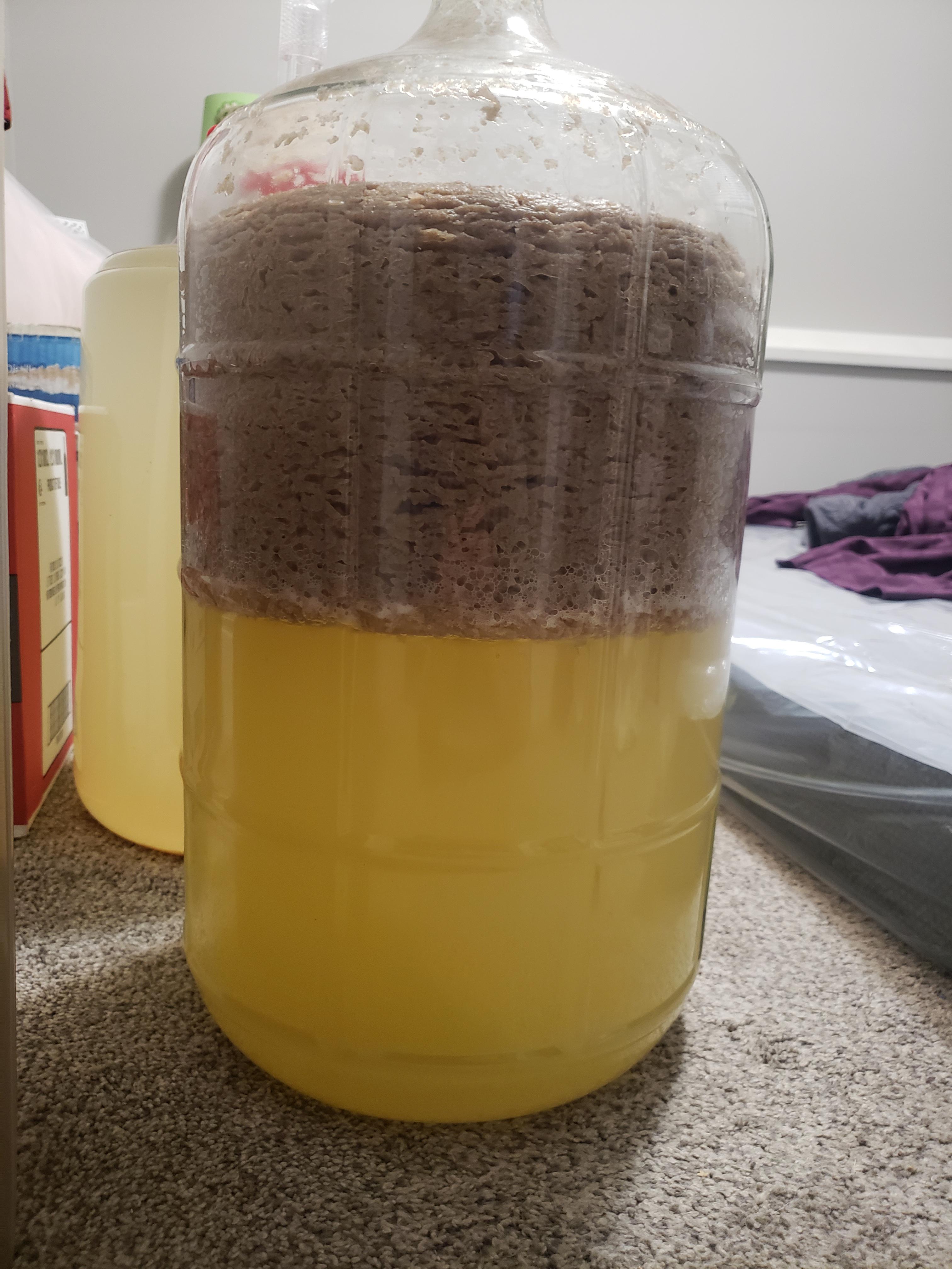 Bananas with white sugar almost through fermentation | Scrolller