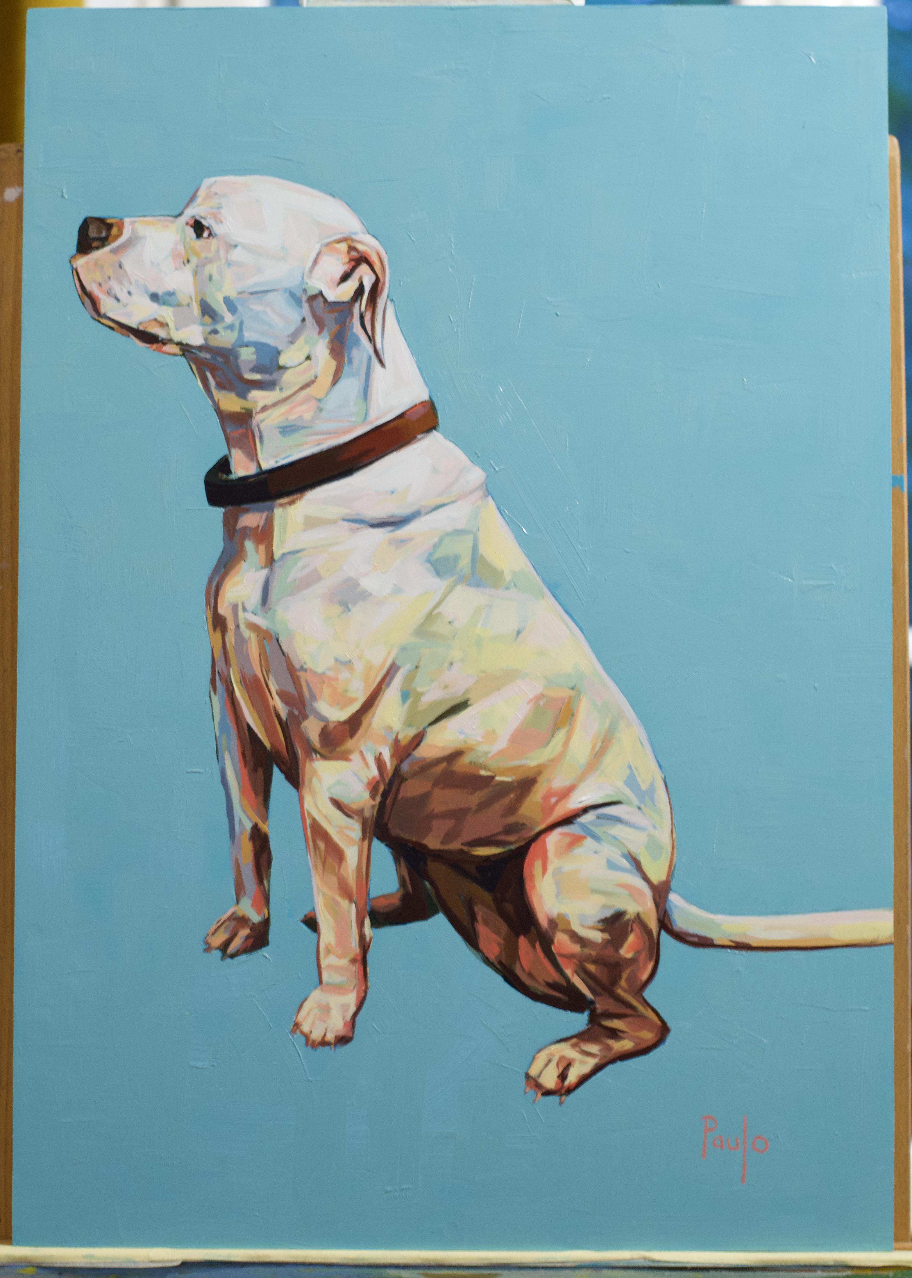 Barley- Really happy with her pose in this. | Scrolller