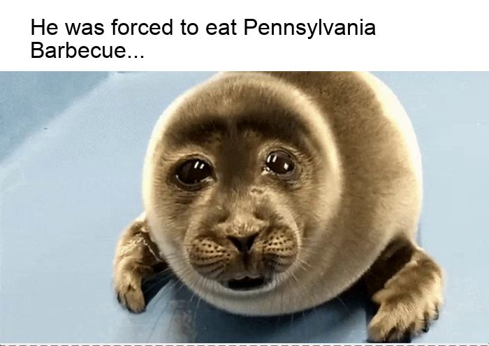 Based on a true experience | Scrolller