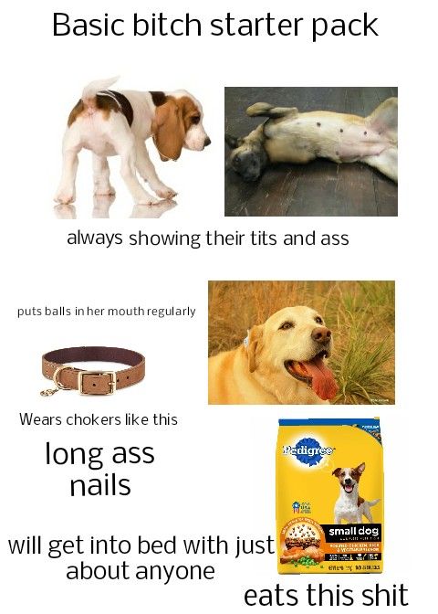 Basic bitch starter pack | Scrolller