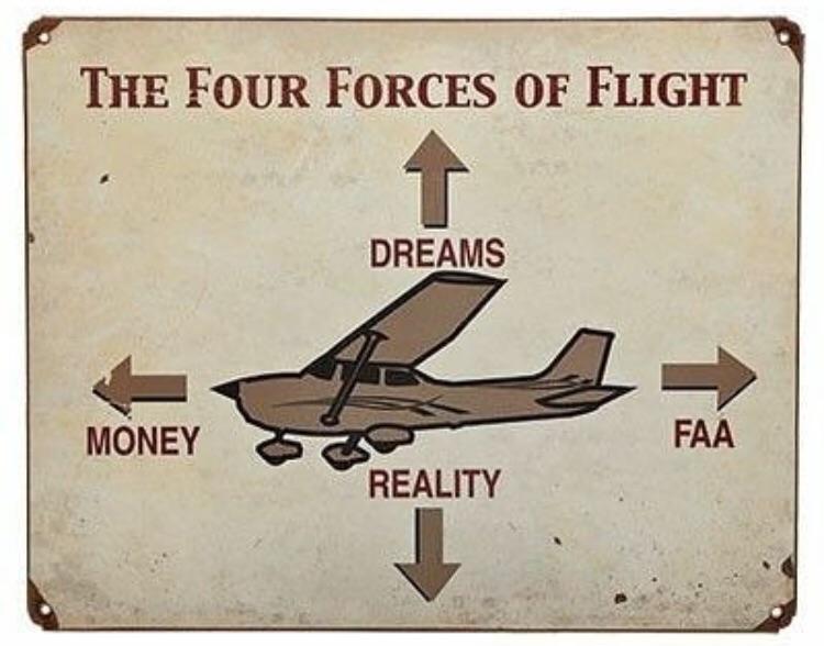 Basic forces of flight explained | Scrolller