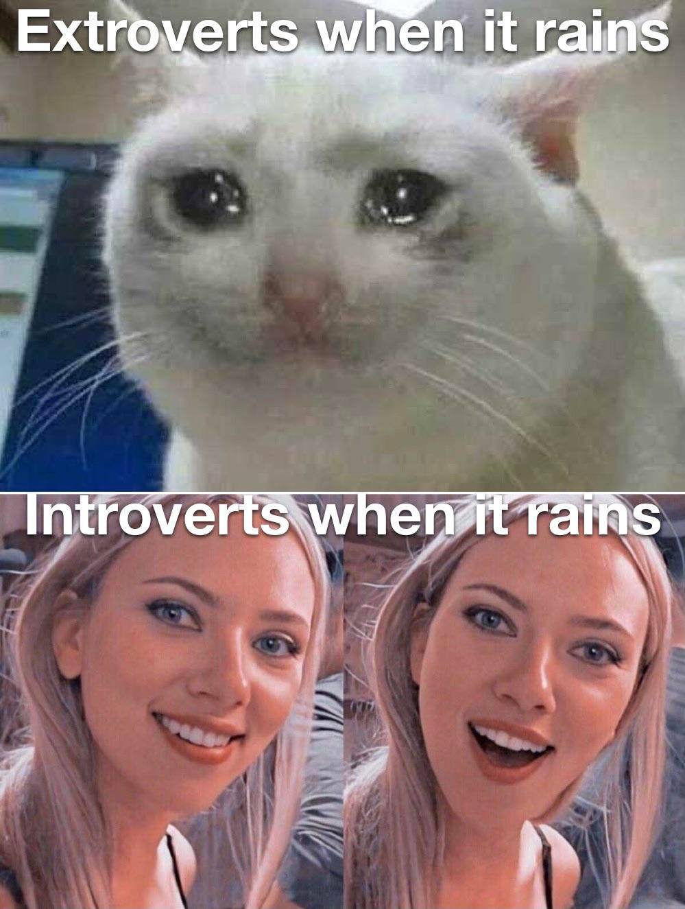 Basic meme | Scrolller