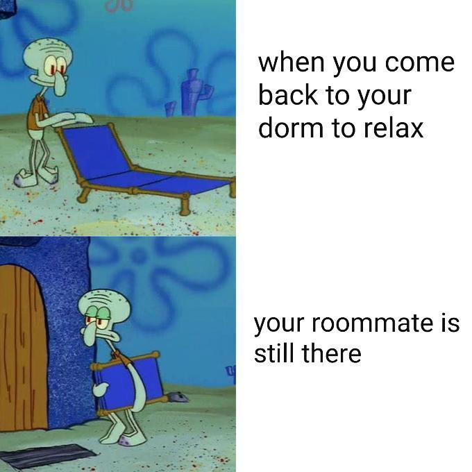 Basically my experience this year | Scrolller