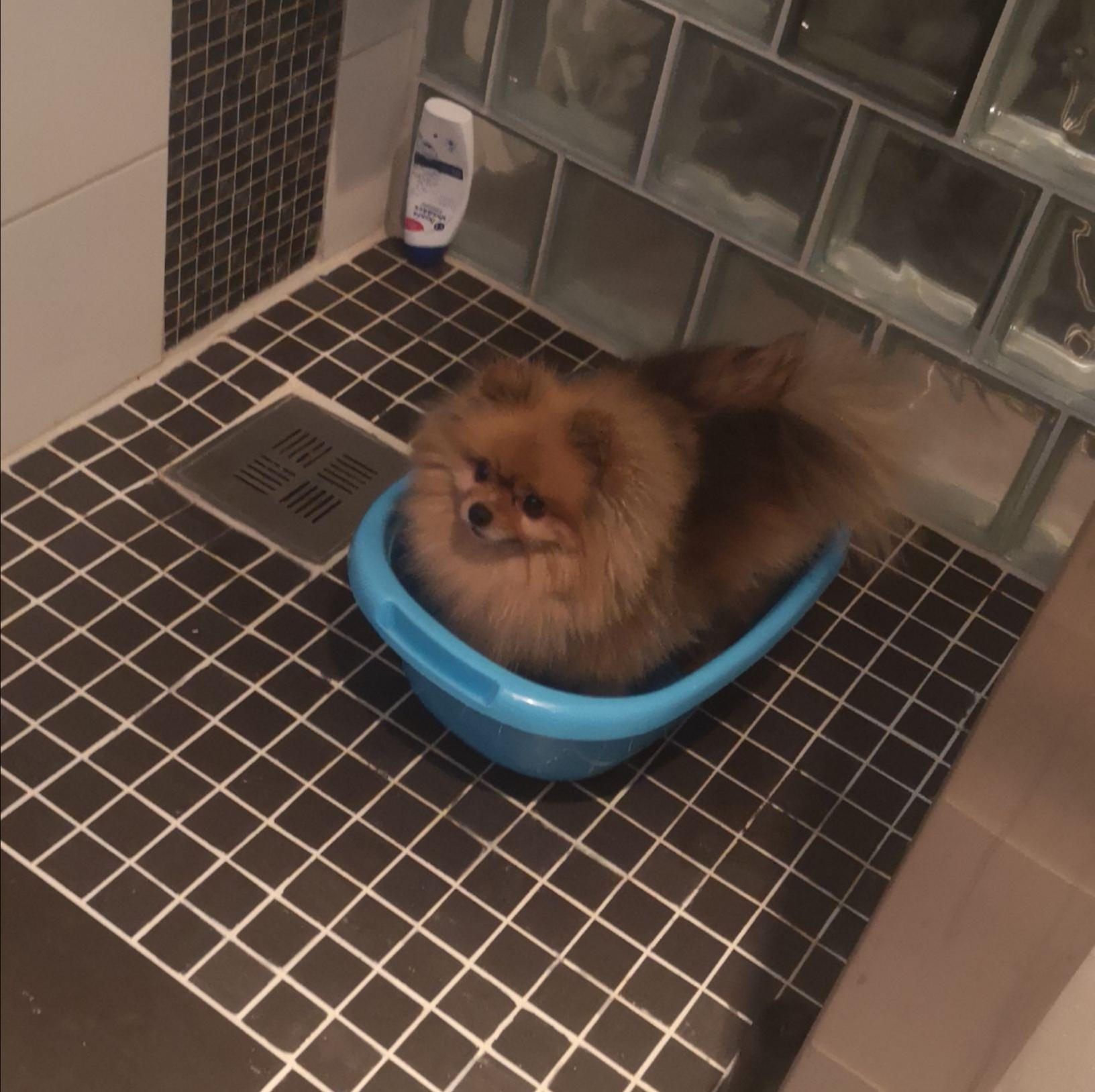 Bath Time Scrolller