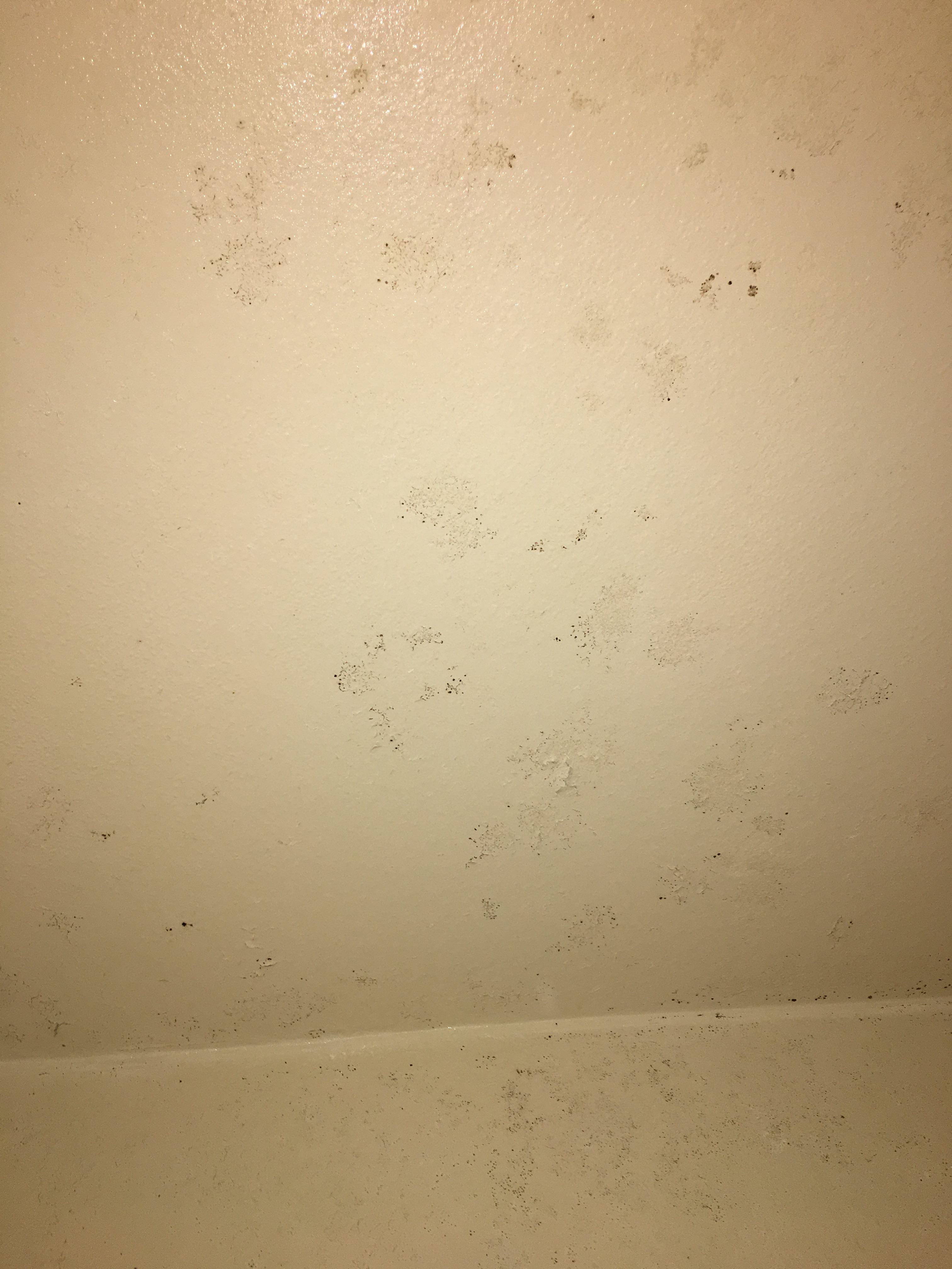Bathroom ceiling. Mold? | Scrolller