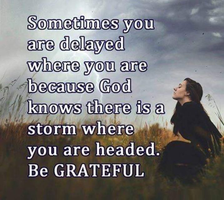 Be incredibly grateful!! | Scrolller