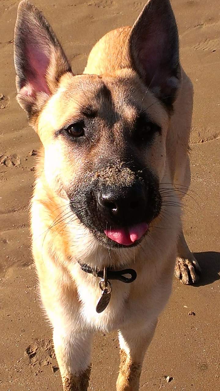 Beach blop | Scrolller