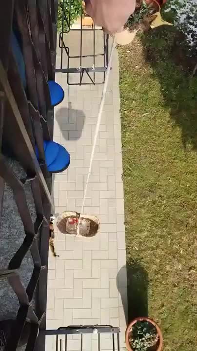 "Beam me up, human" | Scrolller