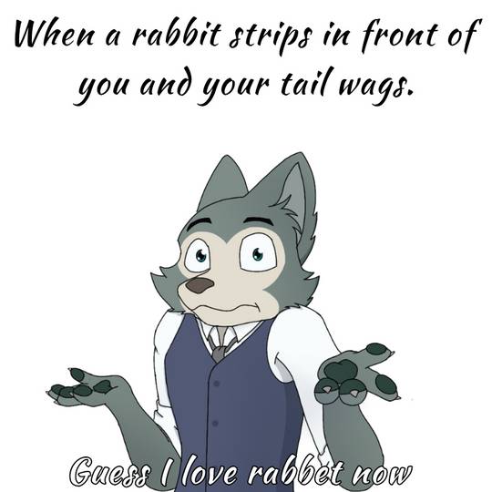 Beastars in a nutshell (OC) | Scrolller