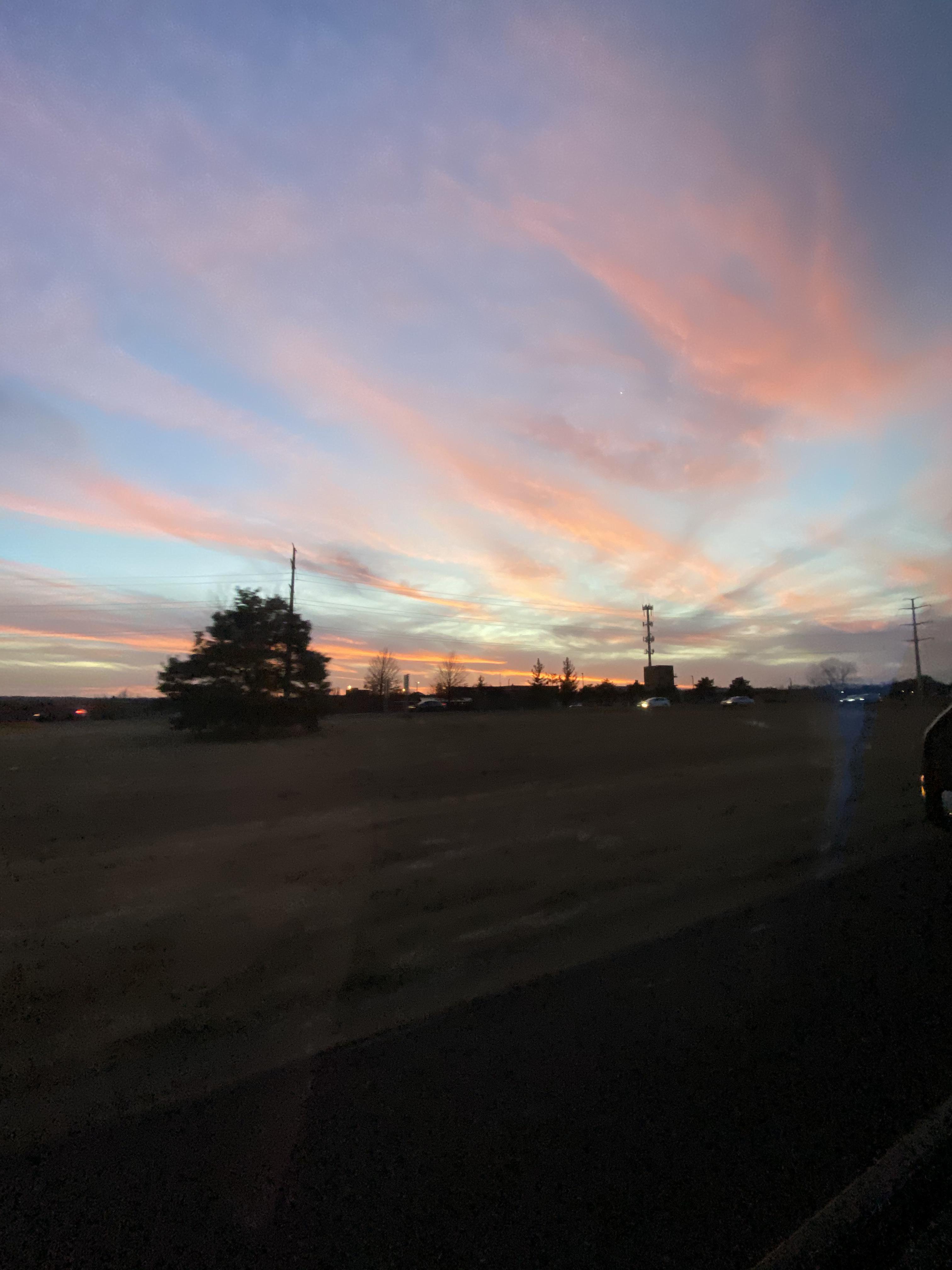 Beautiful am I right | Scrolller