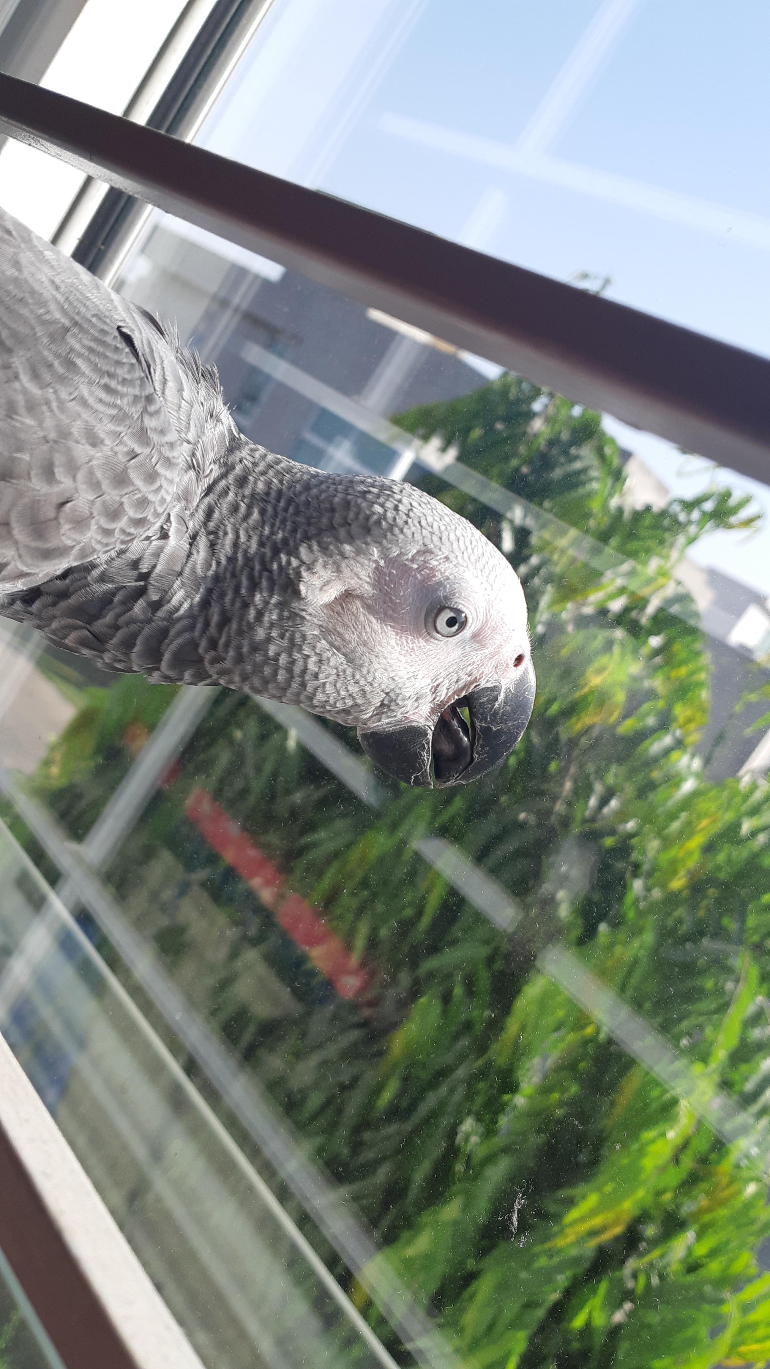 Beautiful boy | Scrolller