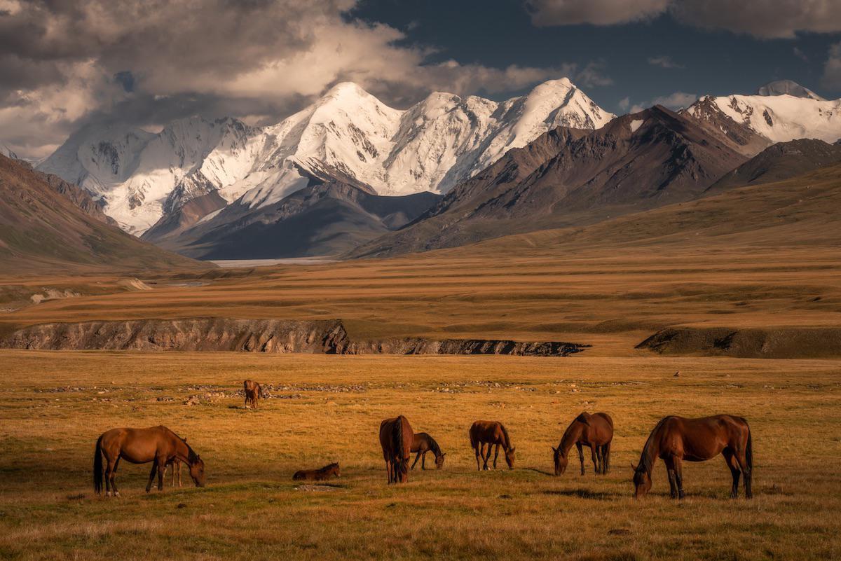 Beautiful horses next to amazing Kyrgyzstan mountains | Scrolller