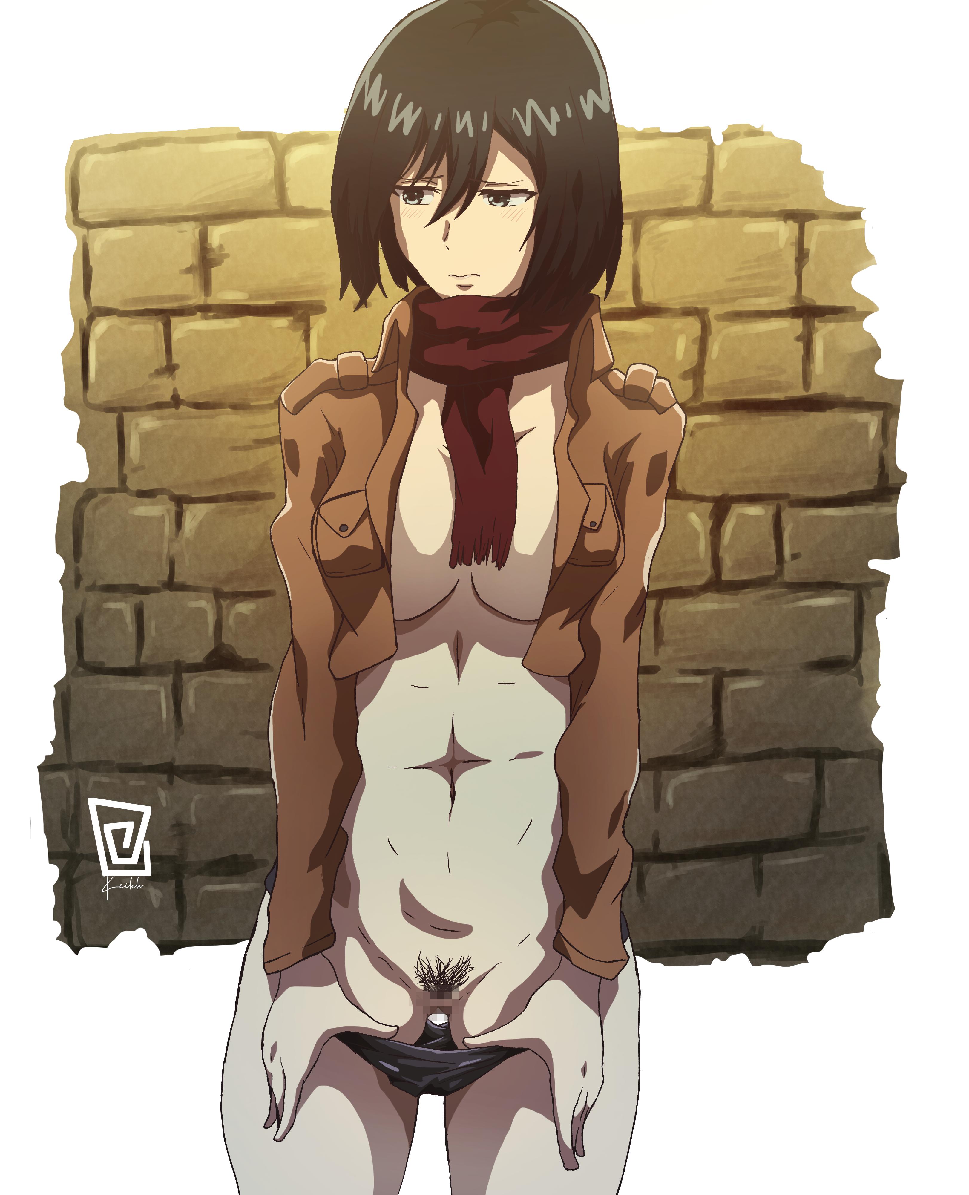 Beautiful Mikasa | Scrolller