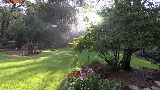Beautiful sunshower in my backyard | Scrolller