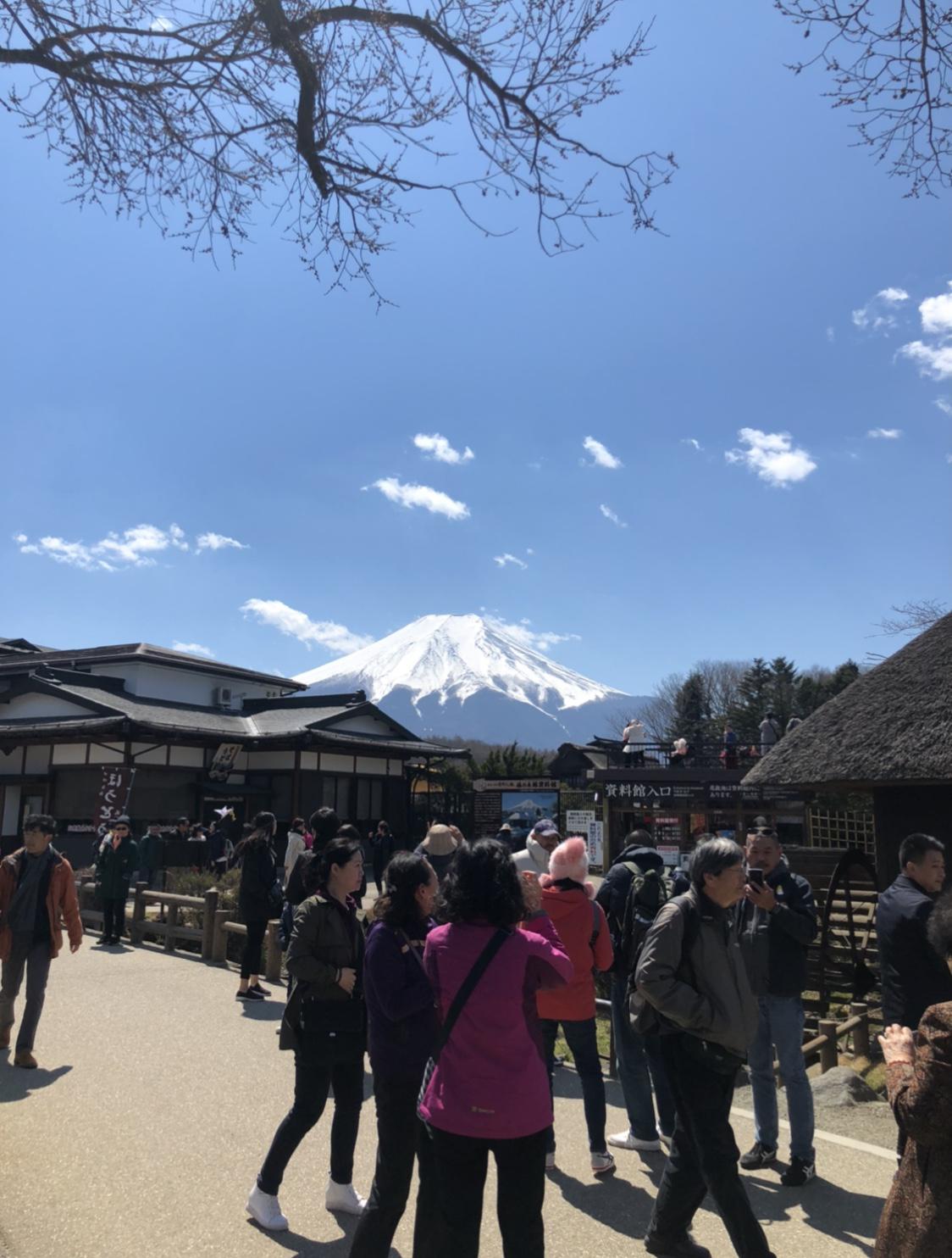 Beautiful view of Mt. Fuji on a crispy morning | Scrolller