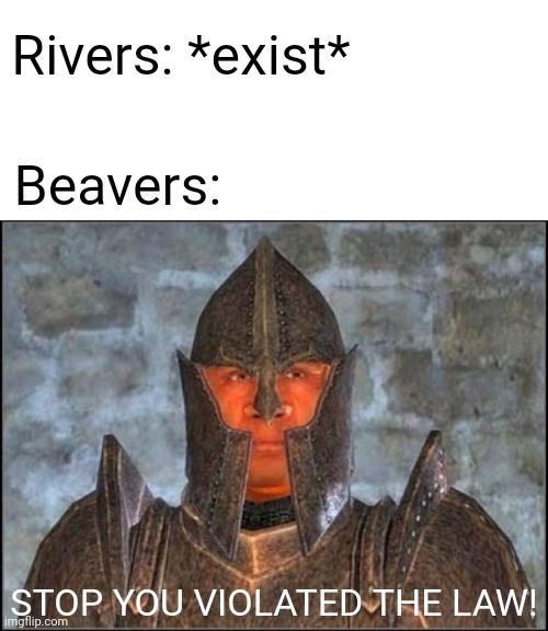 Beavers are infiltrating Bethesda now... | Scrolller