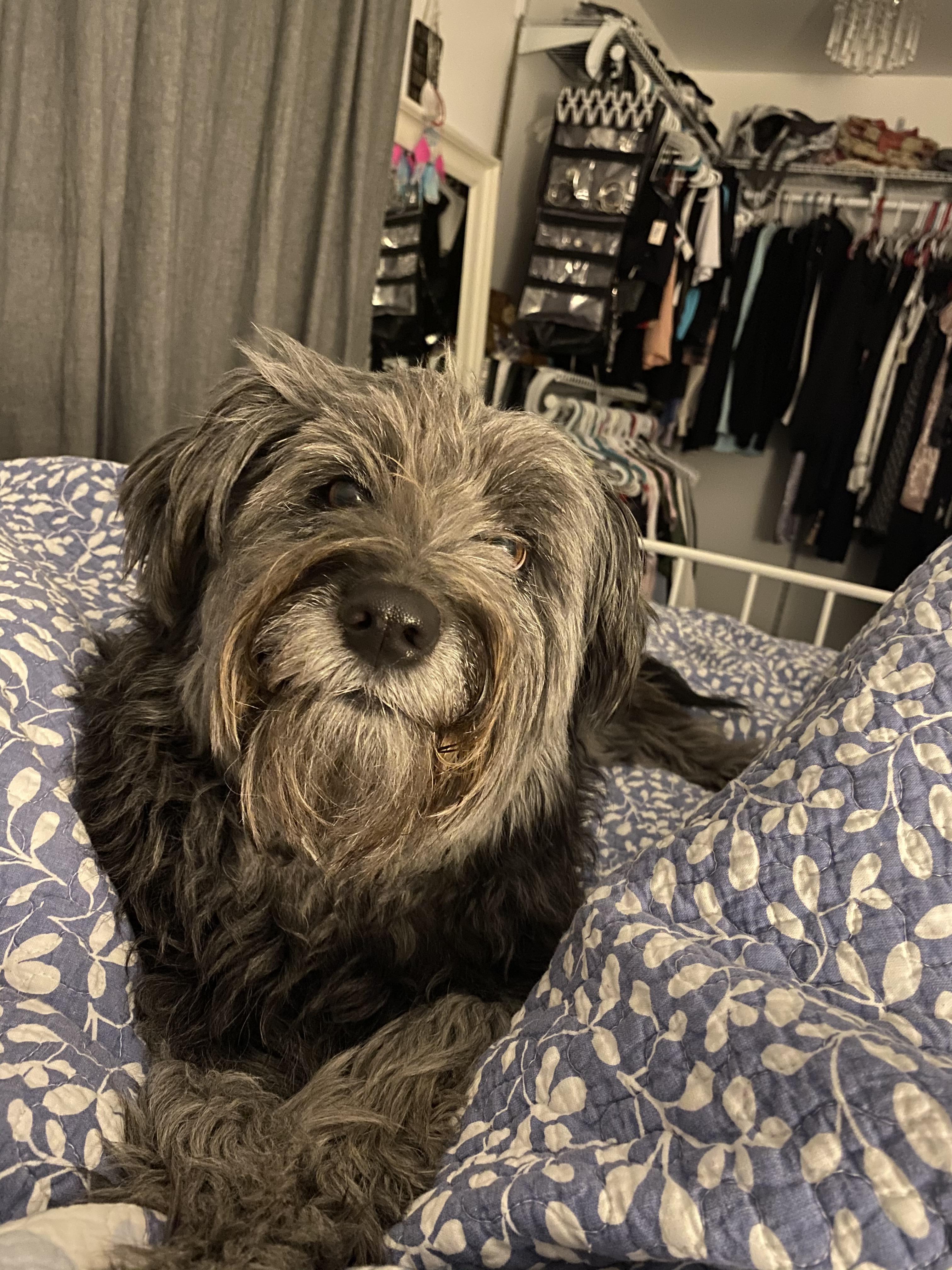 Bedtime treat smiles ☺️ | Scrolller