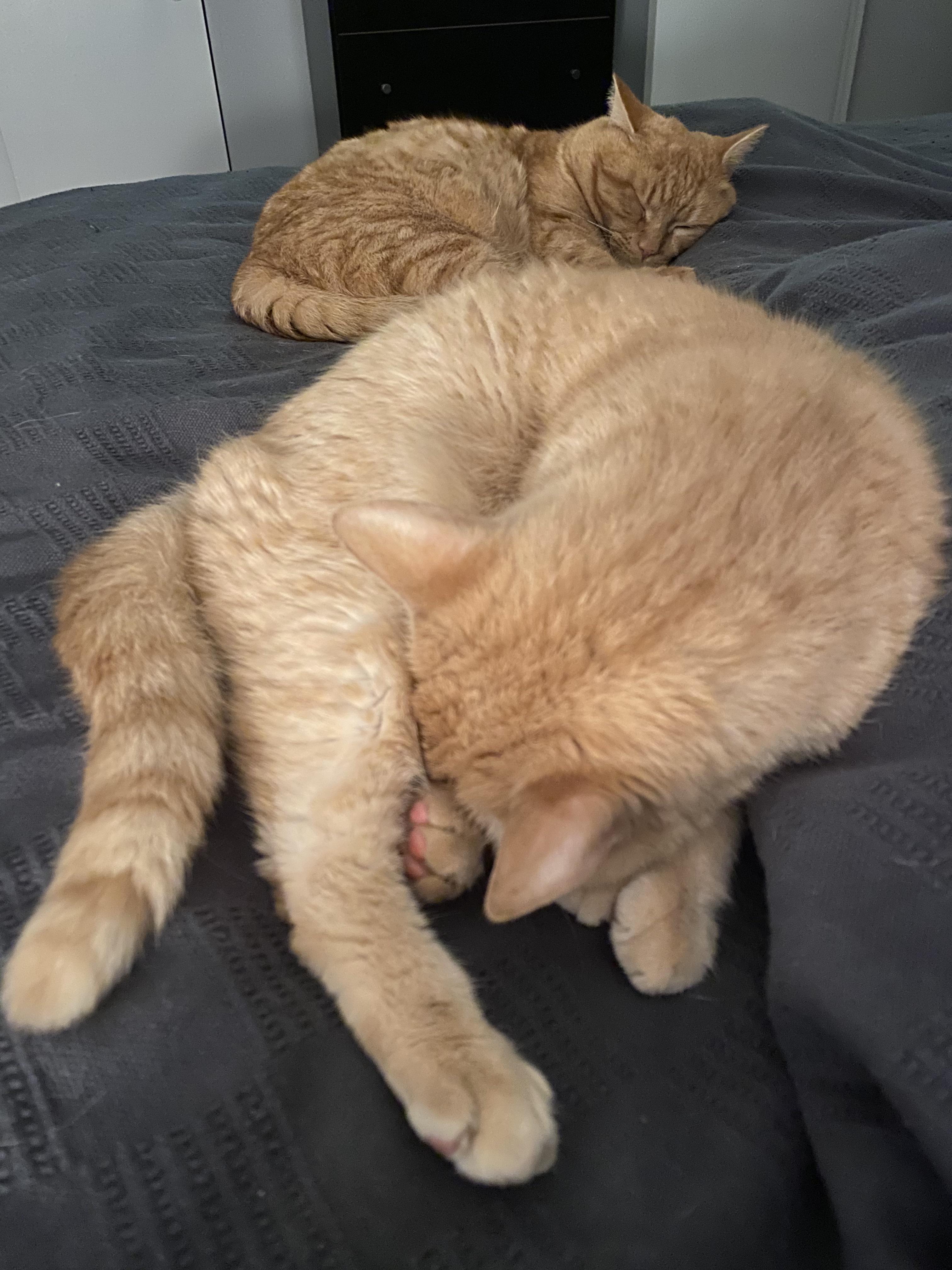 Bedtime with my boys | Scrolller