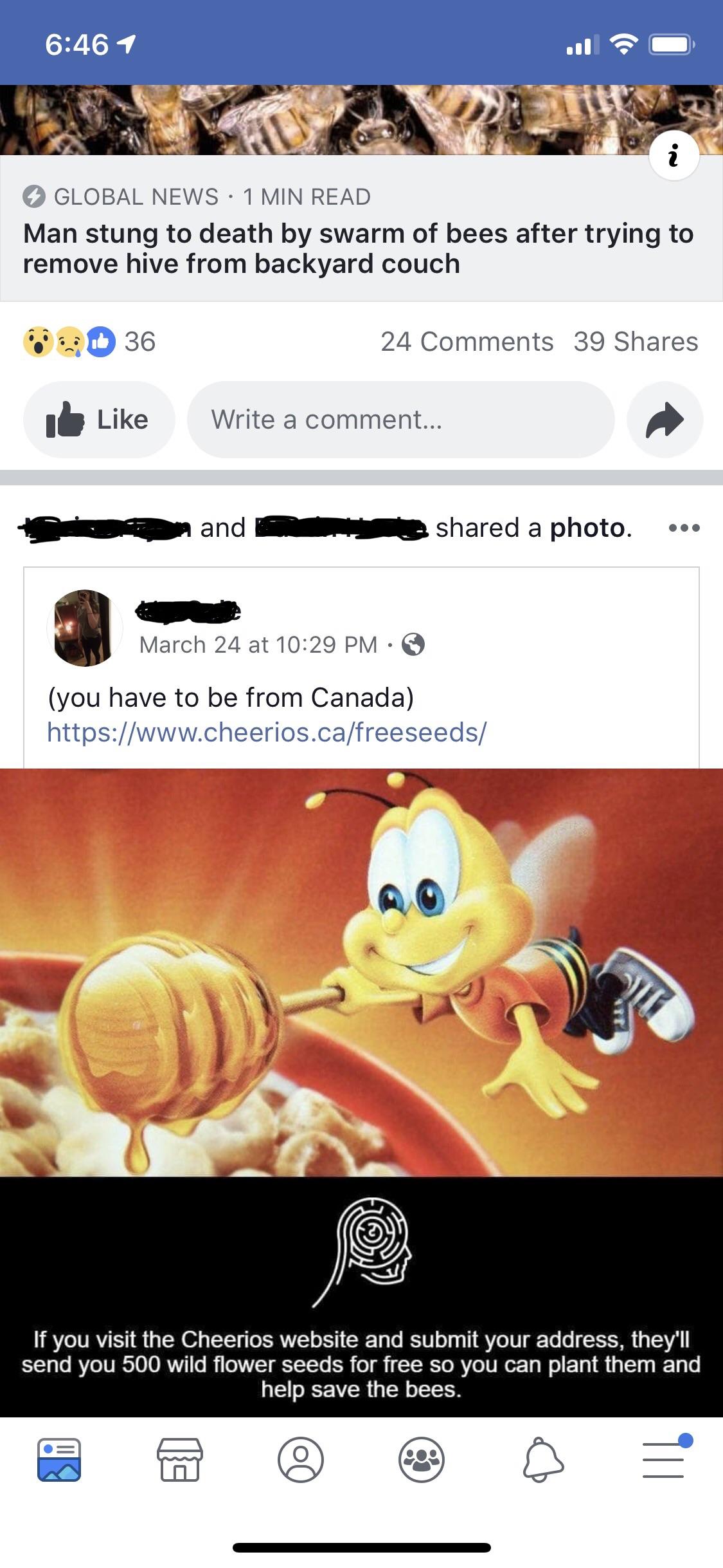 Bees! 🐝🐝🐝 | Scrolller