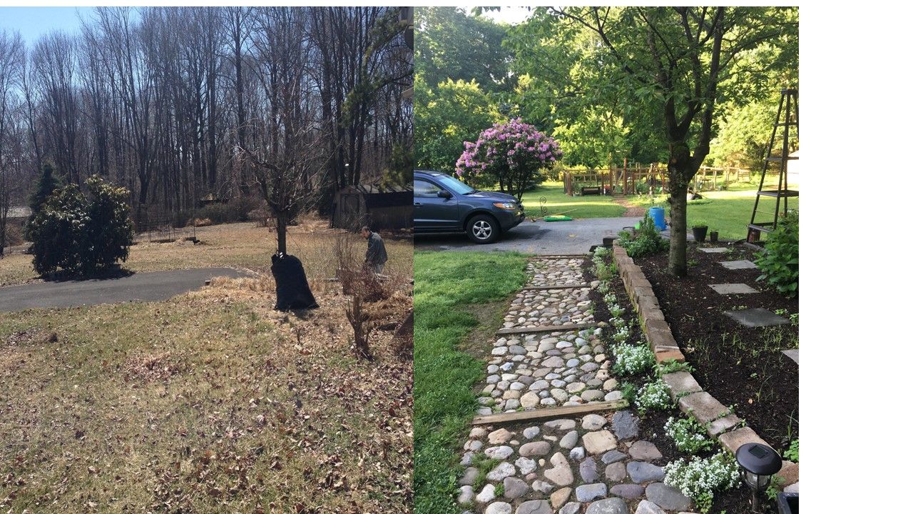 Before and After: 2016-2020 (tried to find 2 pics from approximately the same angle!) | Scrolller