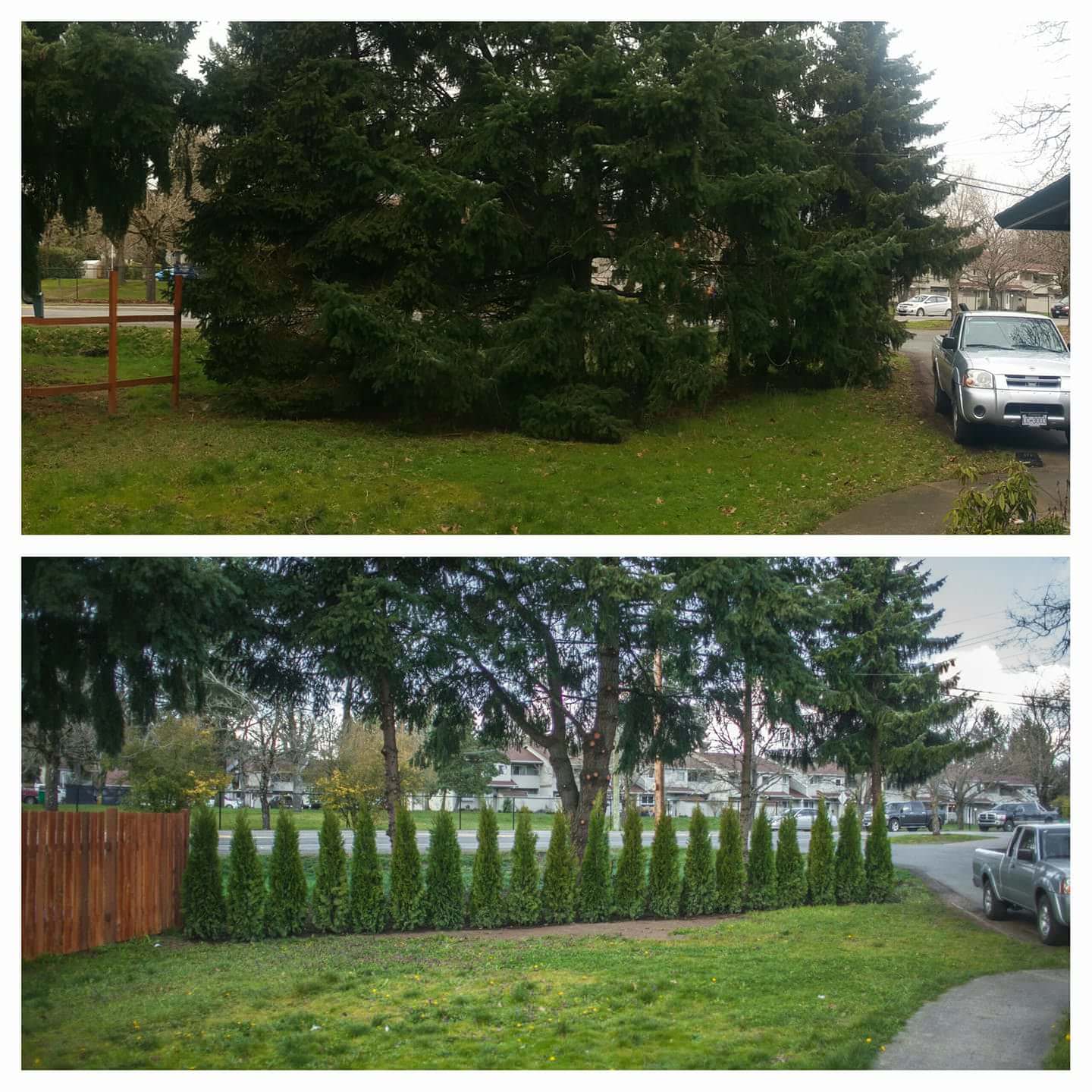 Before and after! | Scrolller